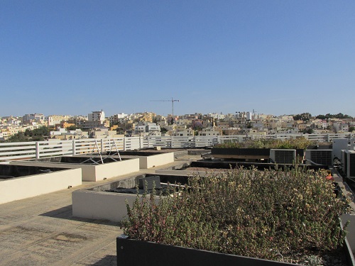 Gallery | www.lifemedgreenroof.org